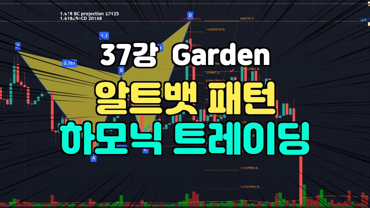 37강 ALT BAT 알트뱃 패턴 #하모닉 #이더리움 #코인 #매매법 - YouTube
