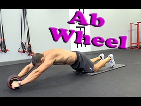 Ab Wheel Exercise - YouTube