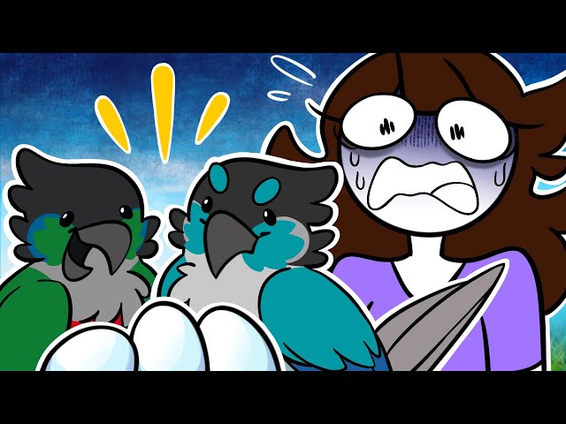 JaidenAnimations