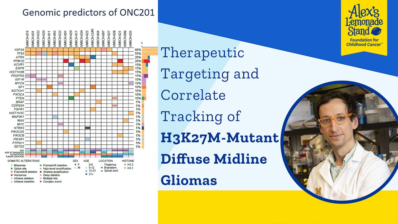 Therapeutic Targeting and Correlate Tracking of H3K27M-Mutant Diffuse ...