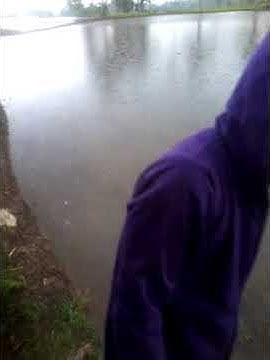 Bokep di tengah hutan - YouTube