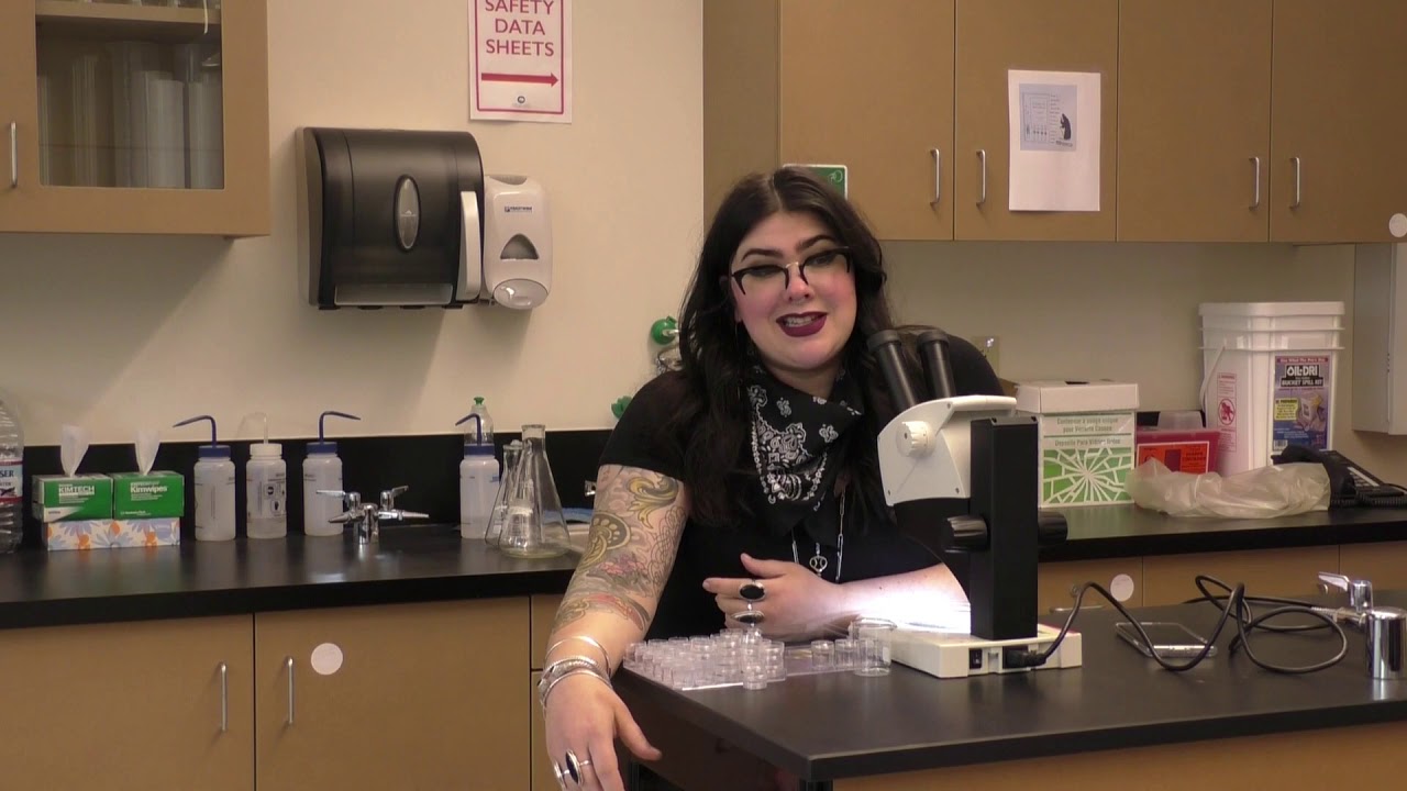 STARR Program - YouTube