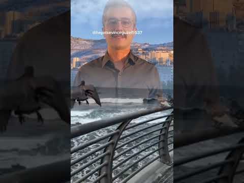 Dürüst olmayan biri eninde sonunda birgün herşeyini kaybeder.#yasinmidyat #sözler #şair #sözler