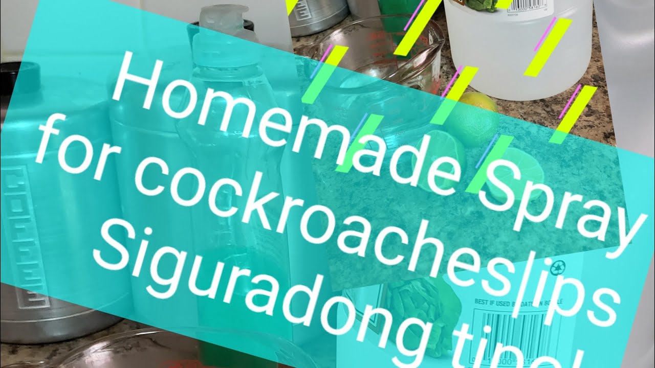 #homemadespray for cockroaches ipis at panlinis - YouTube
