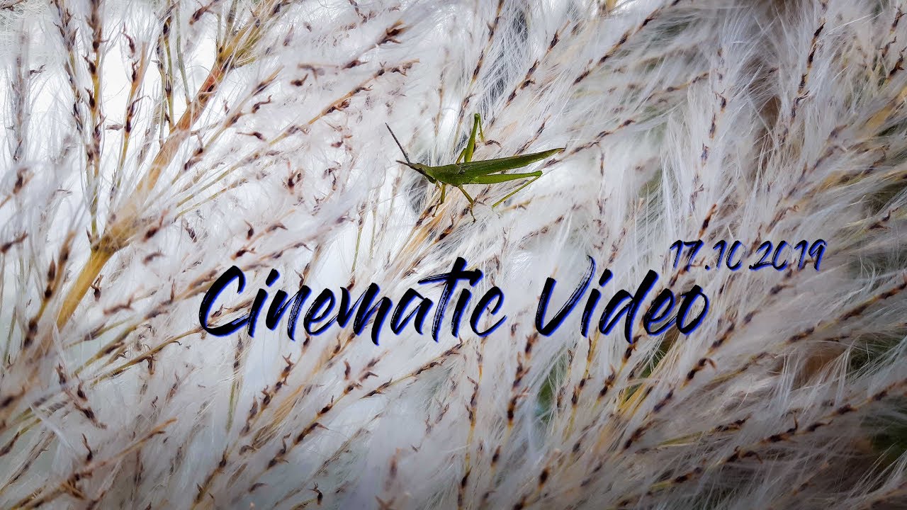 CINEMATIC VIDEO WITH SAMSUNG GALAXY A30