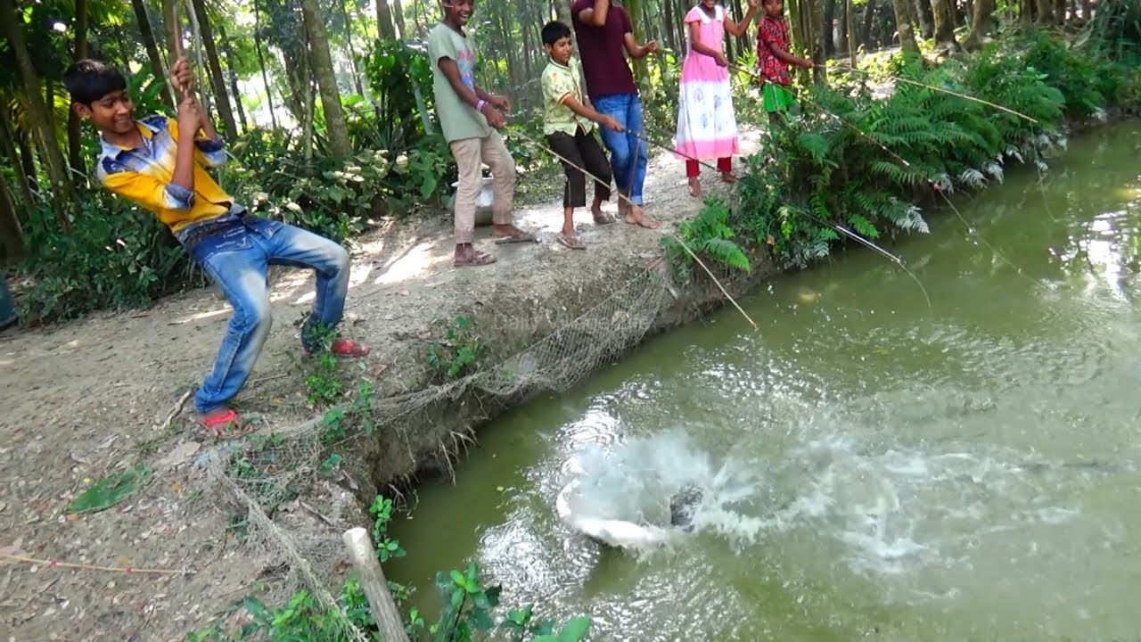 Best Live Fishing Video | Рыбалка Видео (Part-146) - YouTube