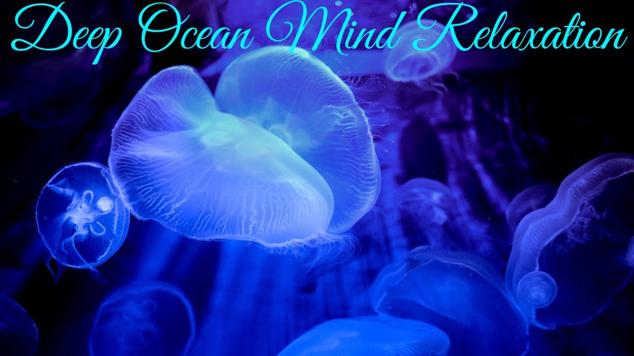 Deep Sea Mind relaxation Sound * Relaxing sound #minddetox # ...