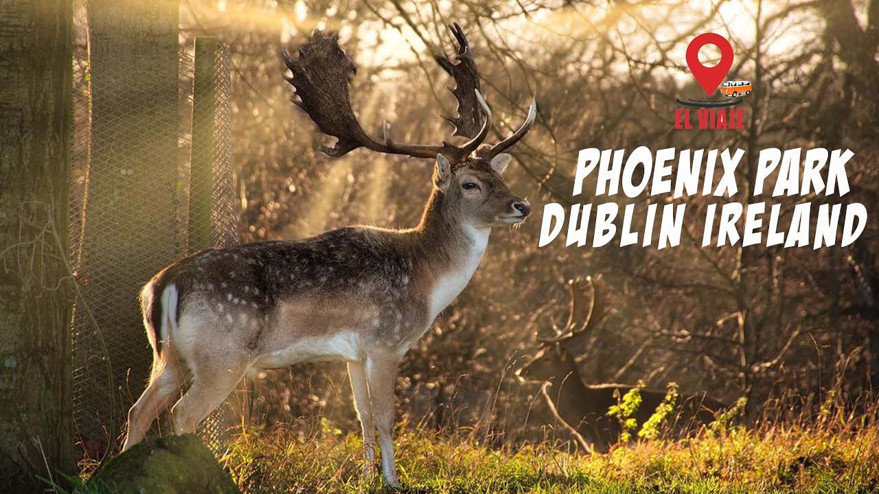 PHOENIX PARK, the largest enclosed public park in any capital city in ...