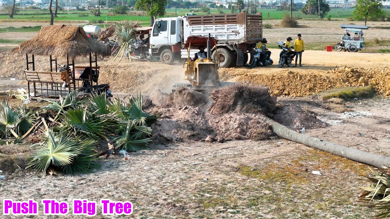 Incredible New Project TeamWork Storng KOMATSU Bulldozer Push the Big ...