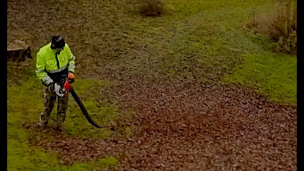 Dolmar PB252.4 PETROL BLOWER - YouTube