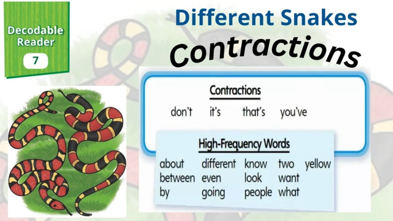 Contractions/Different Snakes/ /read aloud G2 Unit 2 L1 myView Literacy - YouTube