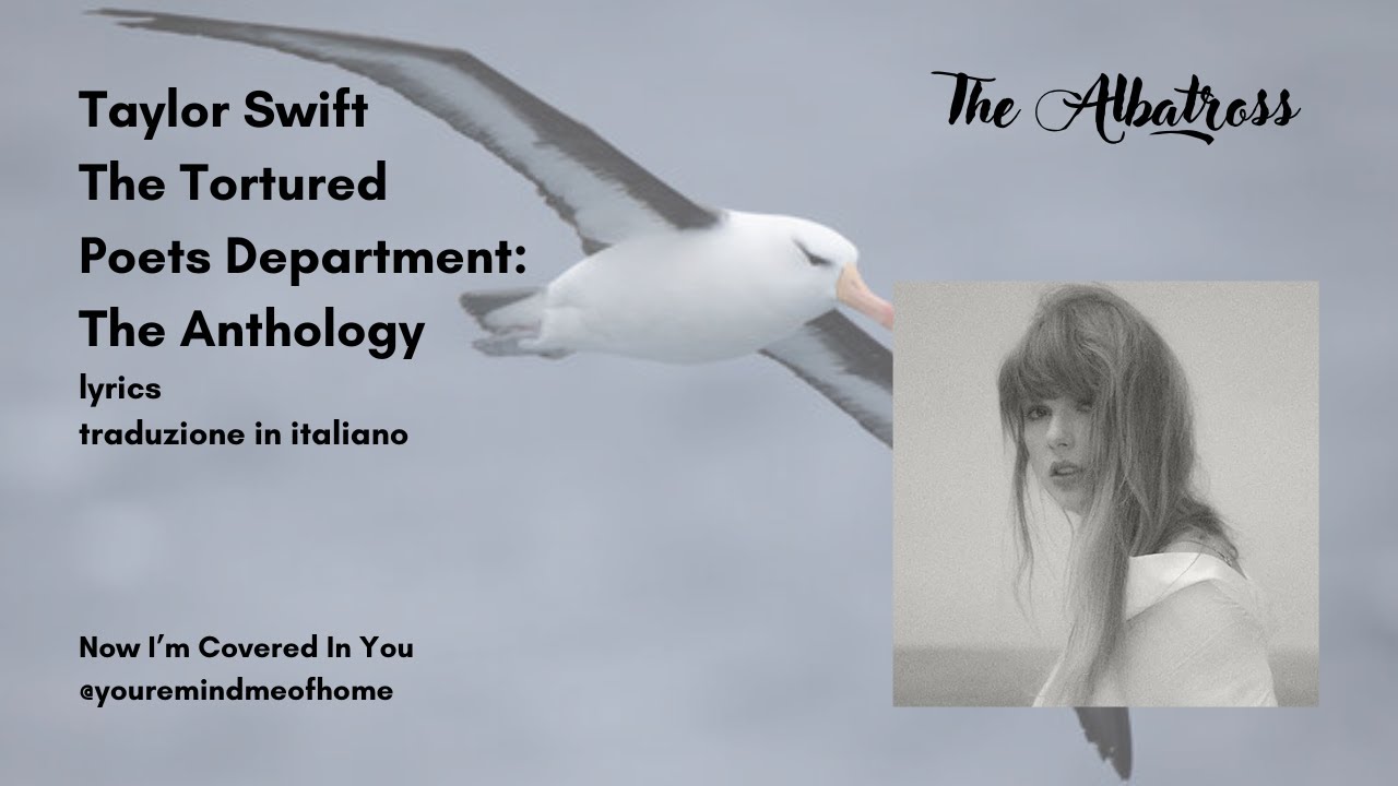 The Albatross, Taylor Swift, lyrics + traduzione in italiano - YouTube