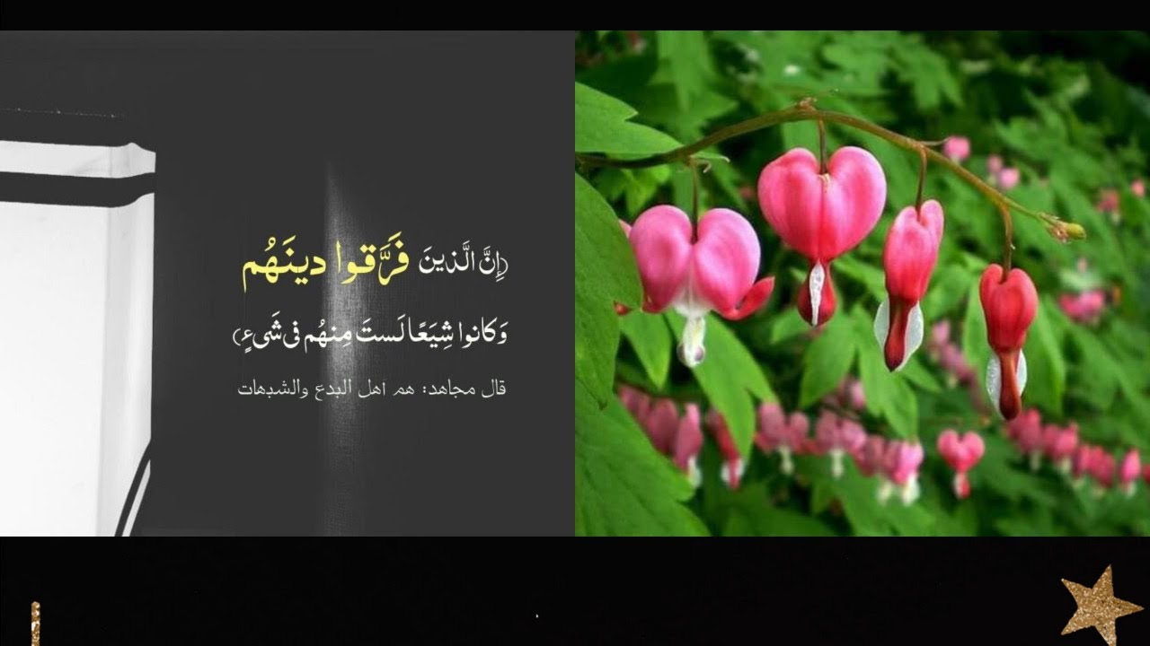 إِنَّ الَّذِينَ فَرَّقُوا دِينَهُمْ وَكَانُوا شِيَعًا لَّسْتَ مِنْهُمْ