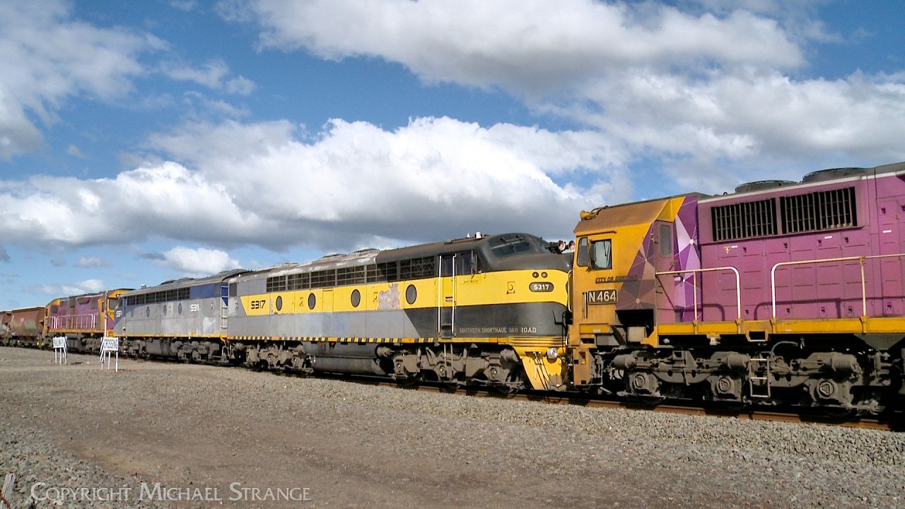 9193 Broad Gauge SSR Grain Train With N464 S317 S311 N466 & BGUY Grain ...