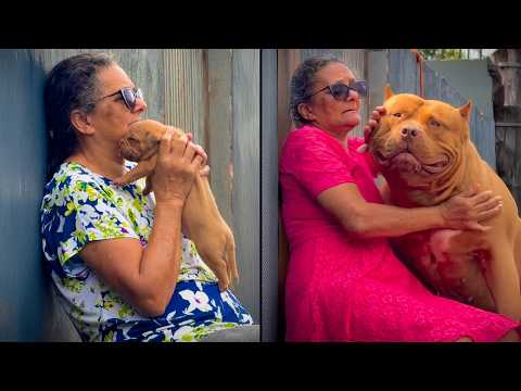 You Won’t Believe This Puppy Transformation