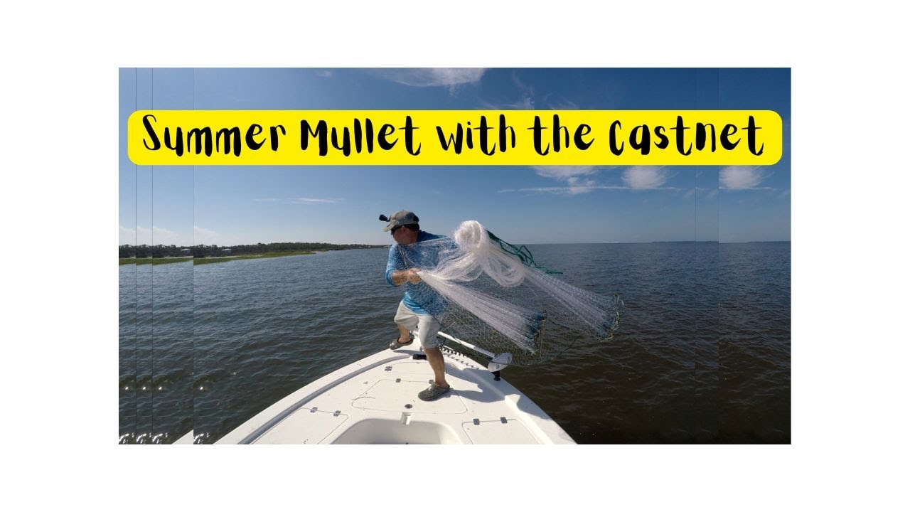 Summer Mullet with the Castnet - YouTube
