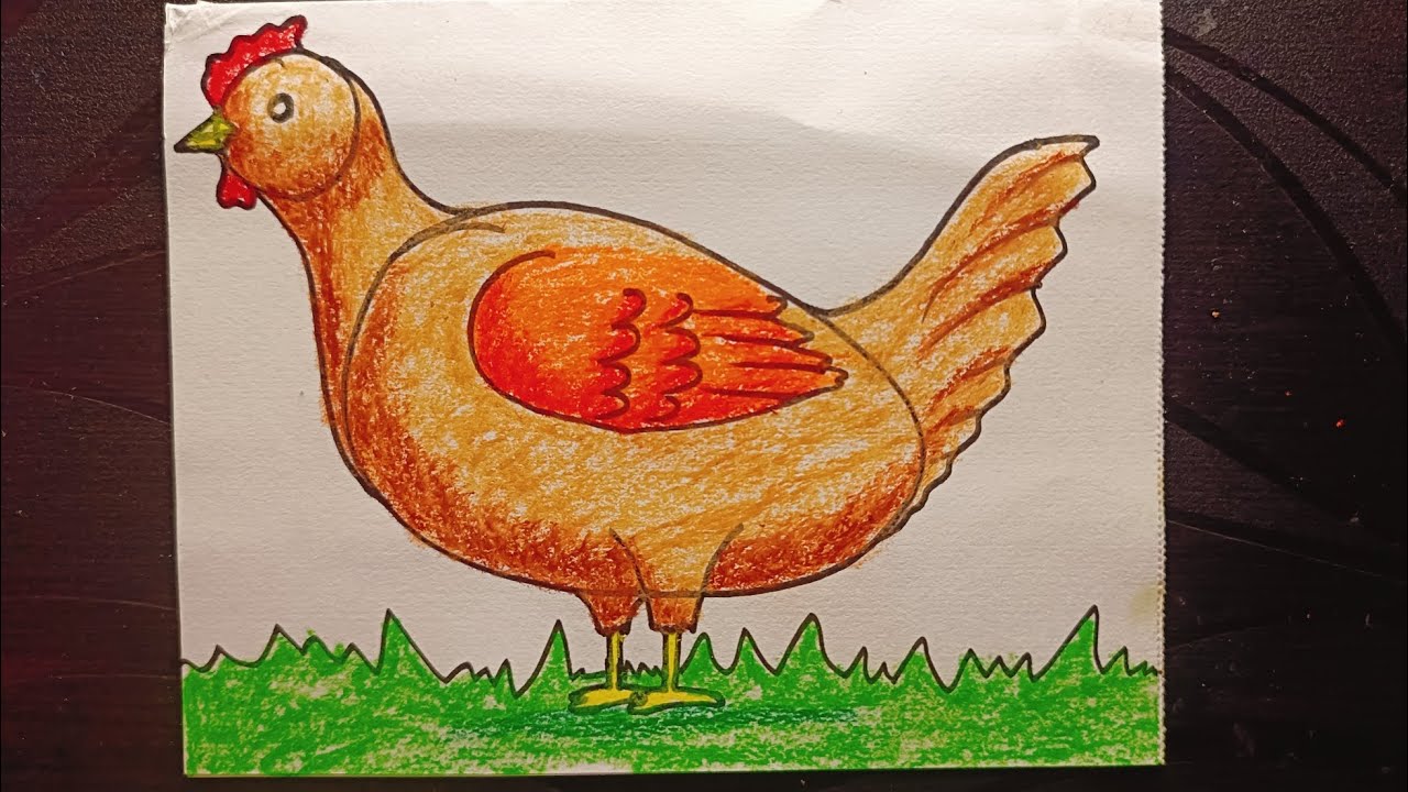 Hen Drawing Easy / How To Draw A Hen Easy Step By Step / Colouring Hen ...
