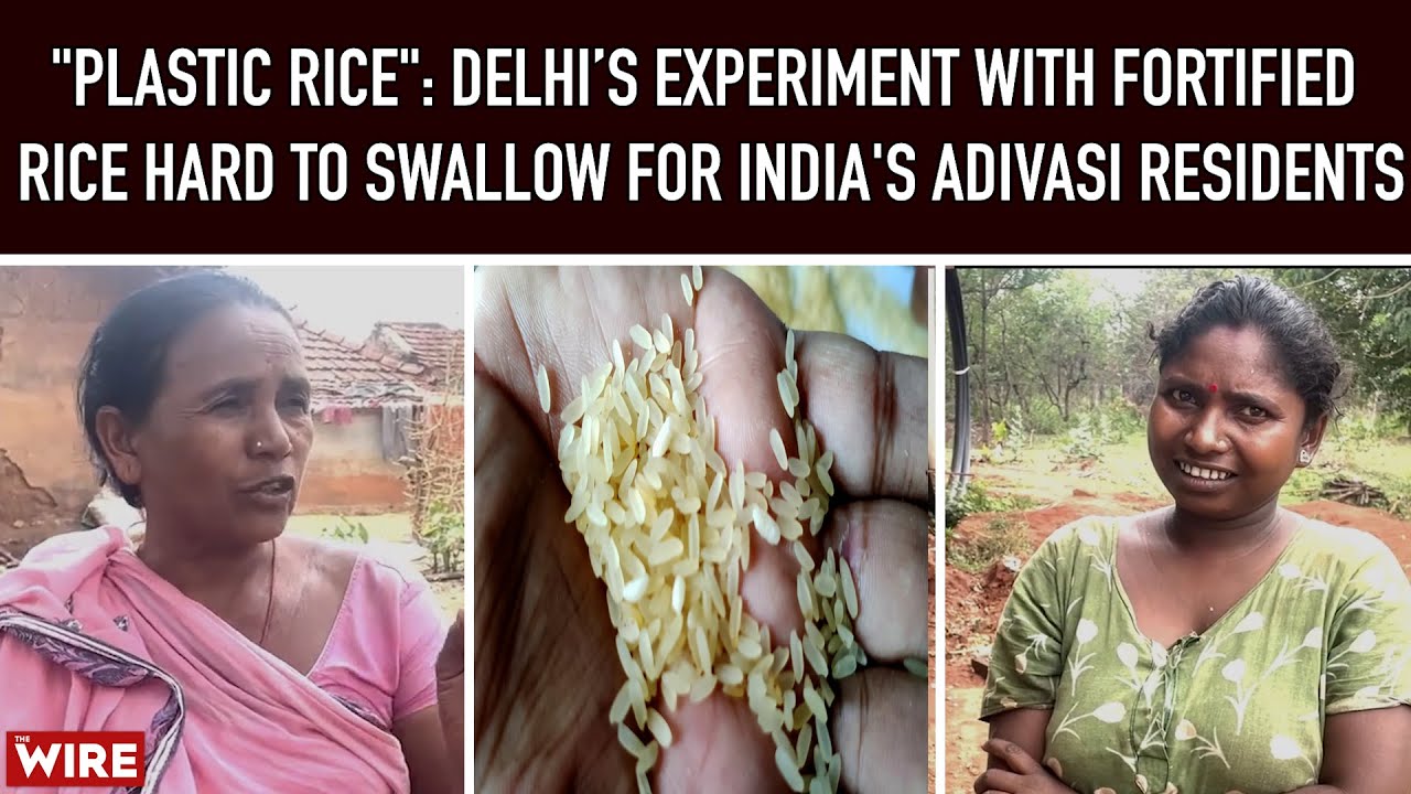 "Plastic Rice": Delhi’s Experiment With Fortified Rice Hard to Swallow ...