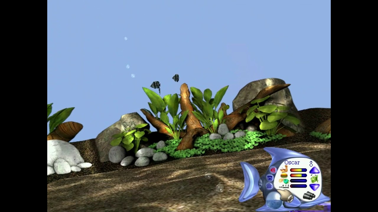 VR Aquarium Virtual Aquarium - YouTube