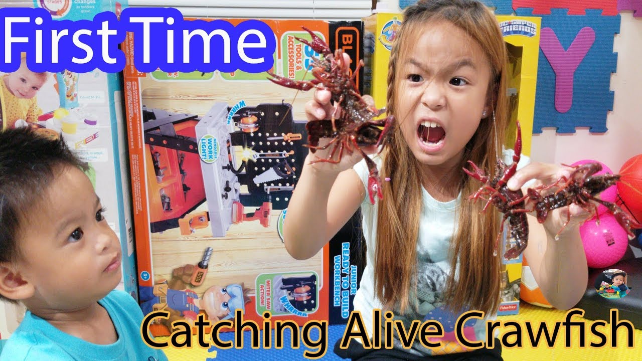 First Time Catching Alive Crawfish | Kids vs Live Craw Fish | Kids Try ...