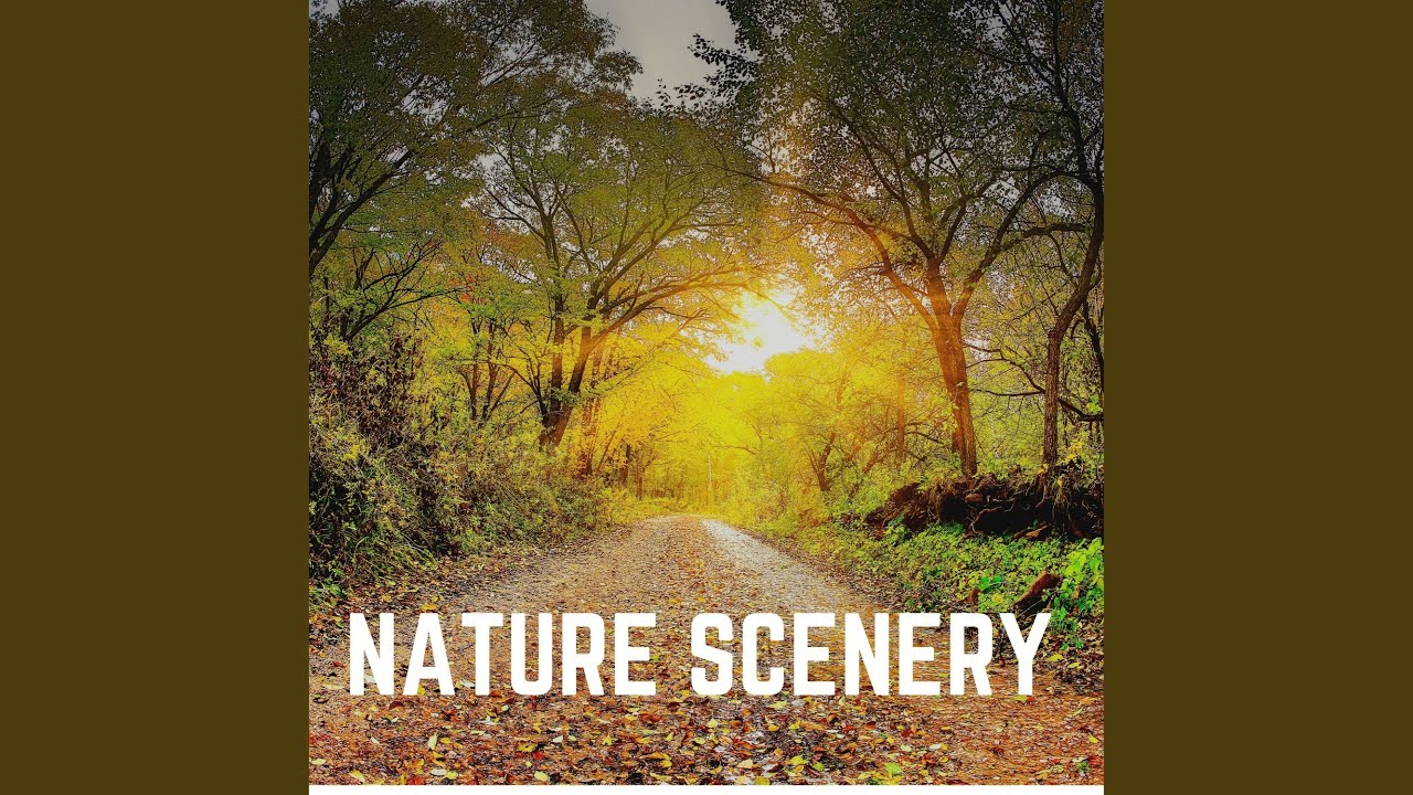 Soundscapes of Nature Melodies, Pt. 39 - YouTube