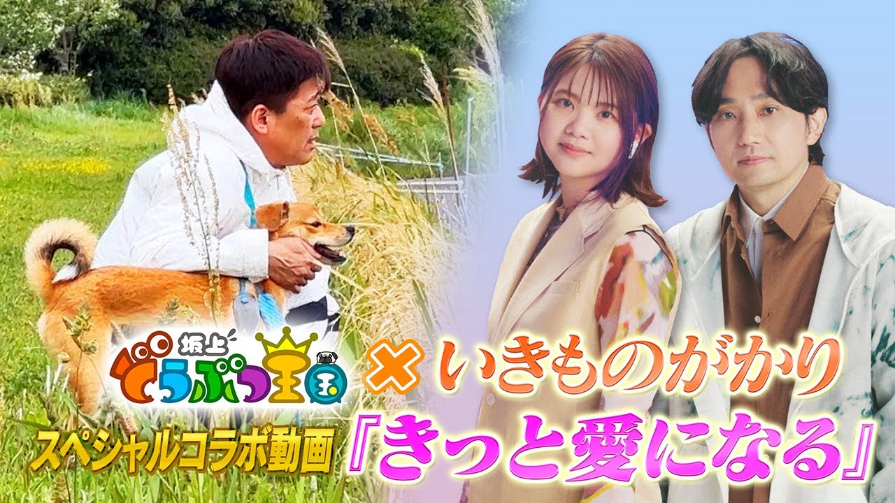 坂上どうぶつ王国×いきものがかりコラボ動画！番組テーマ曲をさかがみ家のワンちゃん達と一緒に公開！ - YouTube Music