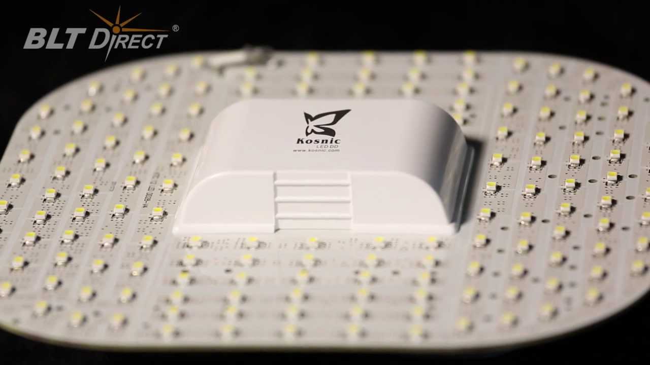 Introduction To LED DD Light Bulbs - YouTube