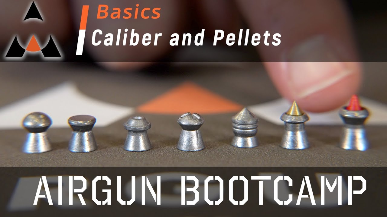 Airgun Pellet Calibers And Types Airgun Bootcamp YouTube airgun-pellet-calibers-and-types-airgun-bootcamp-youtube