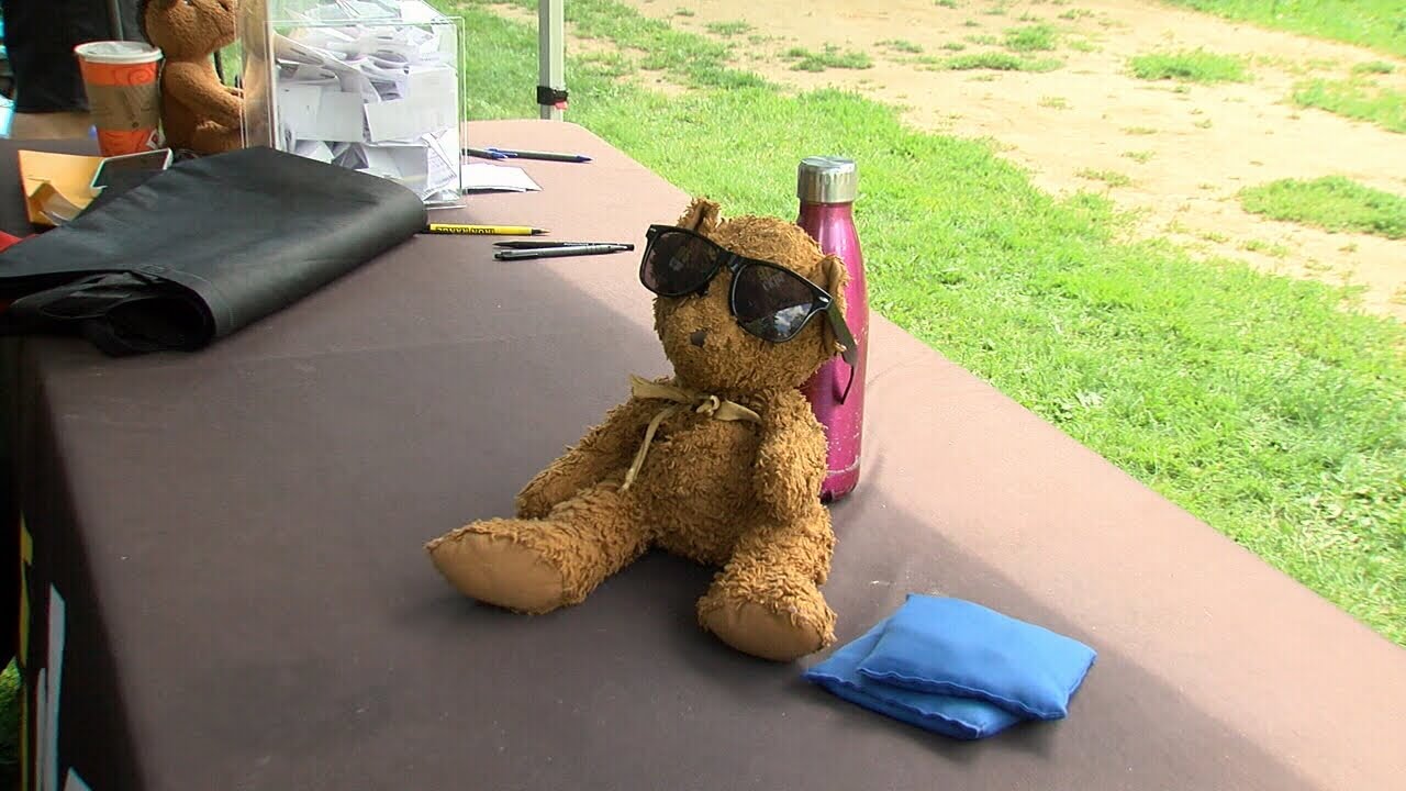 Teddy bear picnic held in Vickers Park - YouTube