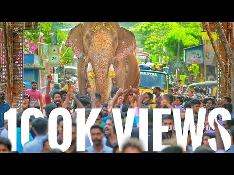 ചിറയ്ക്കൽ കാളിദാസൻ WhatsApp Status Video 😍