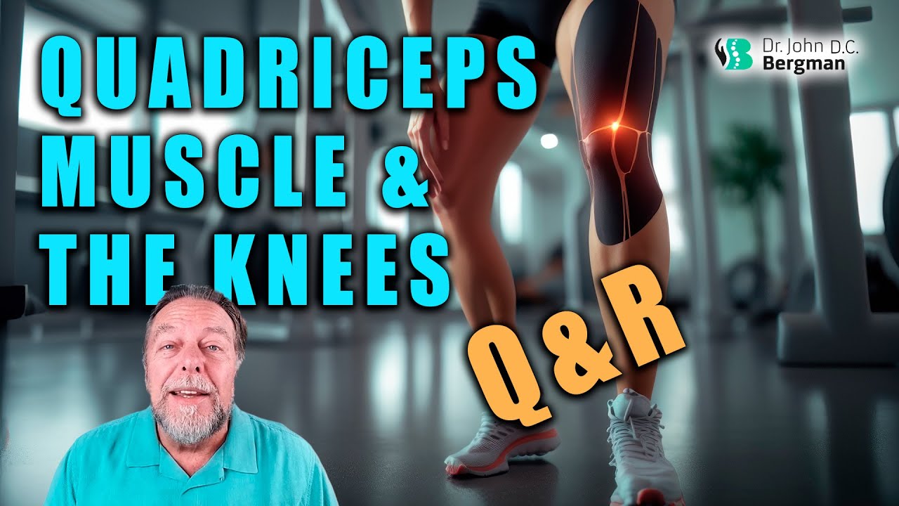Quadriceps Muscle and The Knees Q&R - YouTube