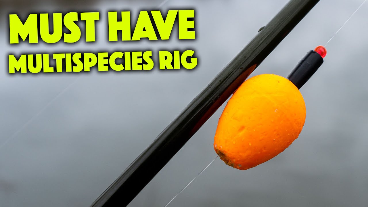 The Slip Float Rig Is A Must Have (Especially For COLD WATER)! - YouTube