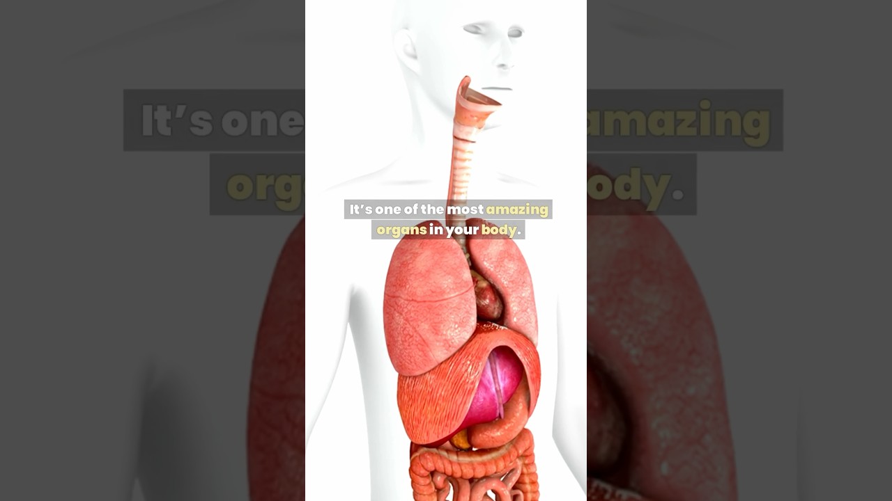 Even if it’s disconnected from the body🫀😳#factyfact #interestingfacts # ...