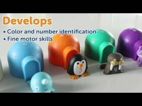 Sort & Seek Polar Animals - YouTube