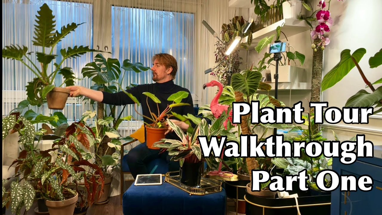Plant tour, Plant walk-through 2022 - YouTube