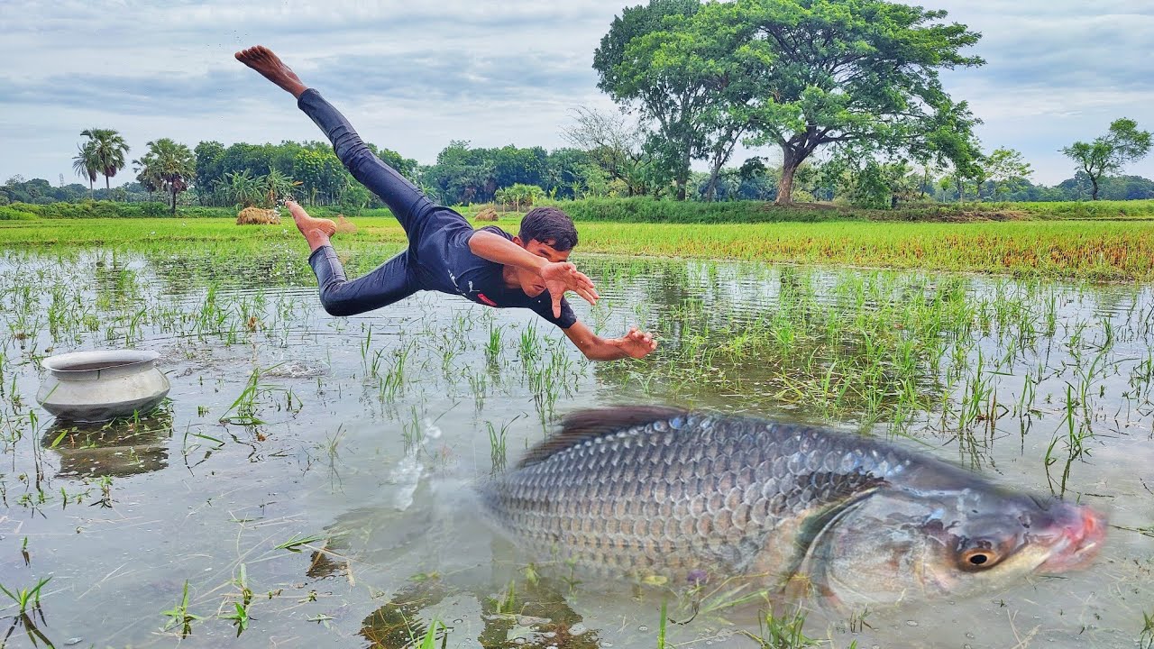 Best Hand fishing 2024 |Little Boy hunting fish by hand From village ...
