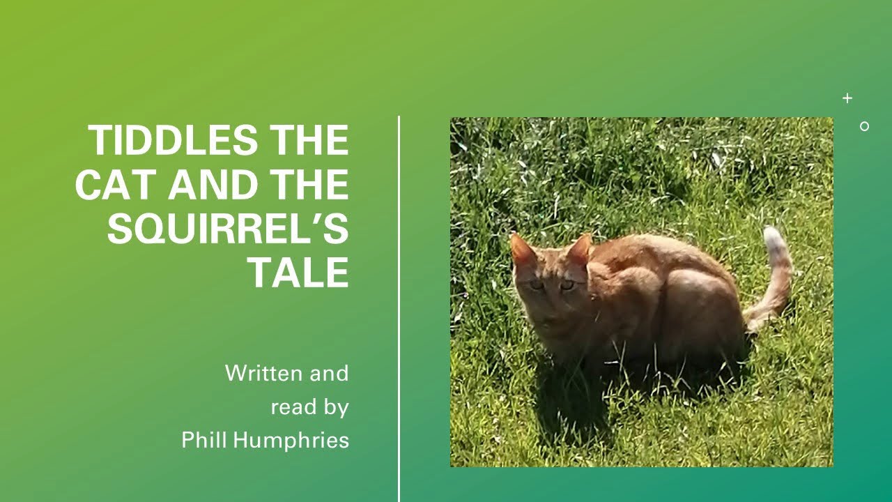 Tiddles the Cat and the Squirrels Tale - YouTube