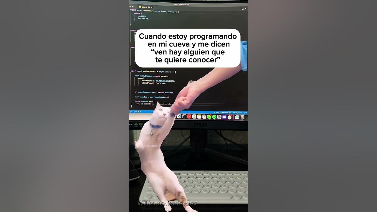 Nadie Me Saque De Mi Cuevaa Setup Fypシ゚viral Memes Dev Devmemes Developer Java Js