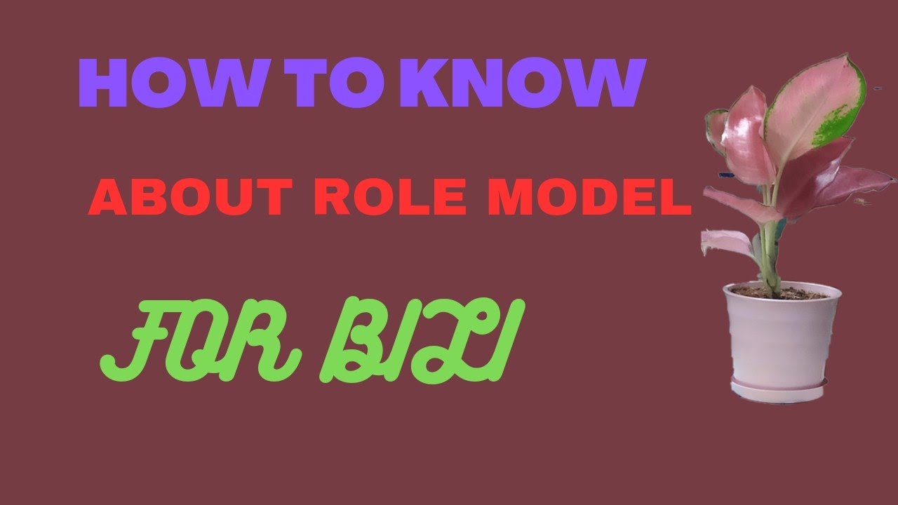 HOW TO KNOW ABOUT ROLE MODEL FOR BILI ဘီလီအတွက်စံပြပုဂ္ဂိုလ်သည် ဘယ ...