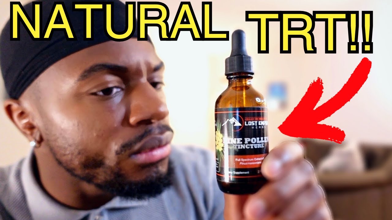 Pine Pollen Review | Strongest TESTOSTERONE BOOSTER?! - YouTube