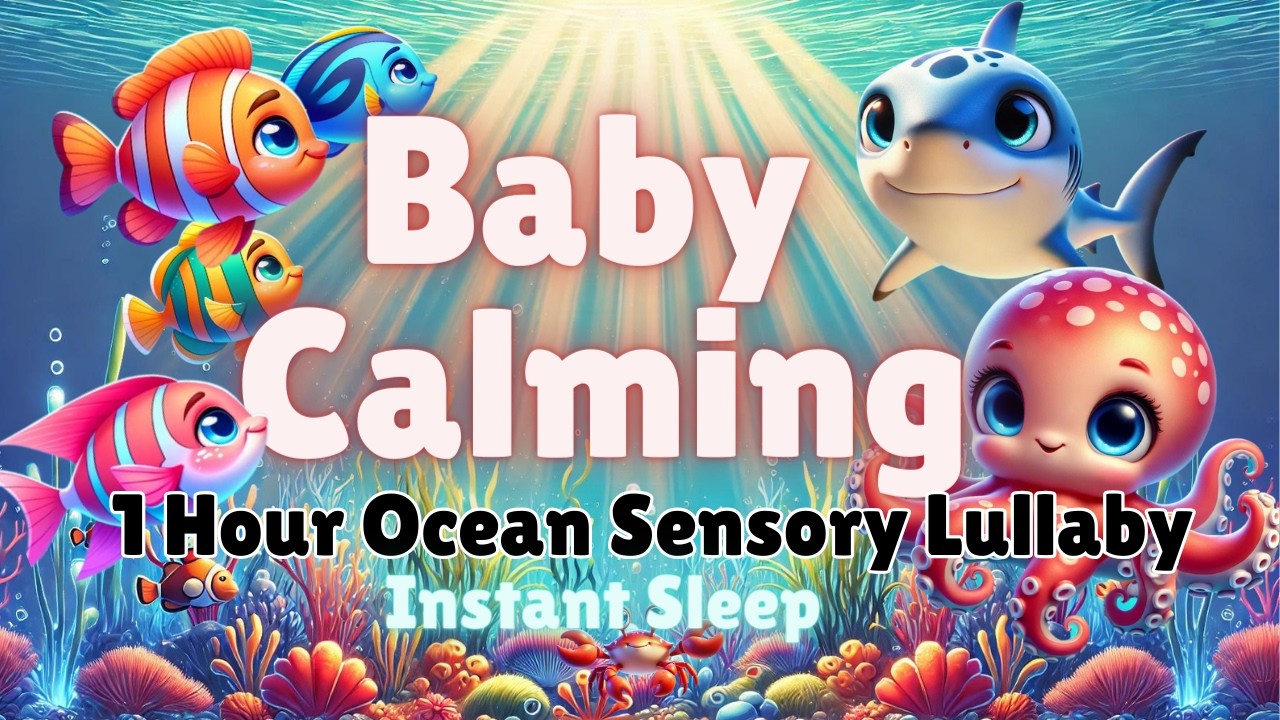 Colic Relief Or Sleep Regressions - Baby Sensory Magical Ocean Lullaby ...