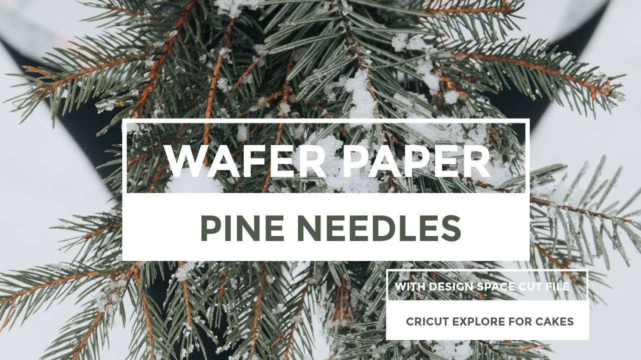 Wafer Paper Pine Needles with Design Space Cut File - YouTube