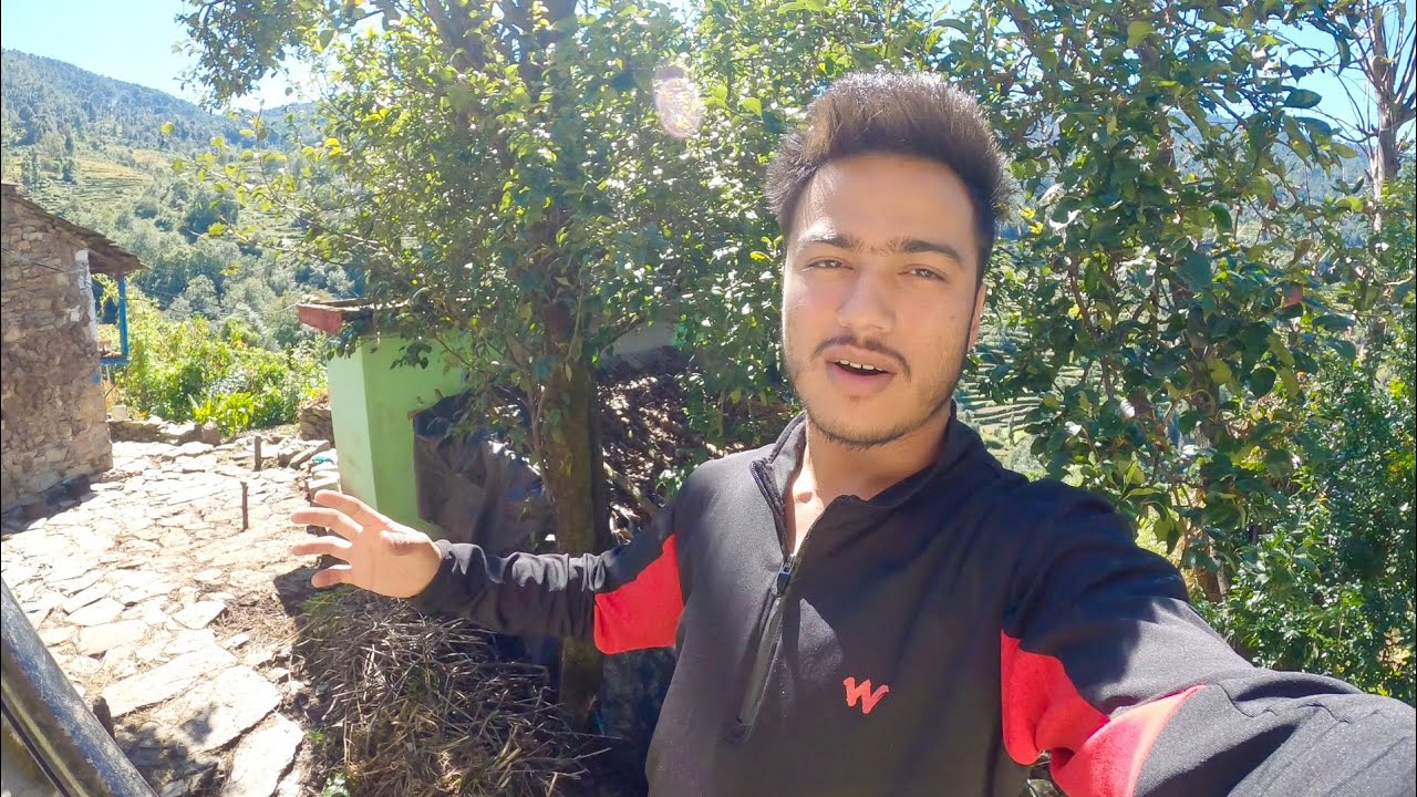 जंगली सुवरों का आतंक || Namaste Pahad || Ashutosh Negi - YouTube