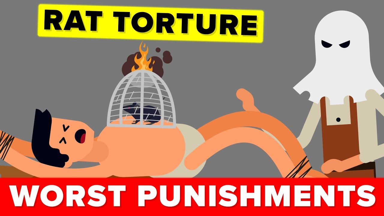 Rat Torture Worst Punishments In The History Of Mankind YouTube rat-torture-worst-punishments-in-the-history-of-mankind-youtube