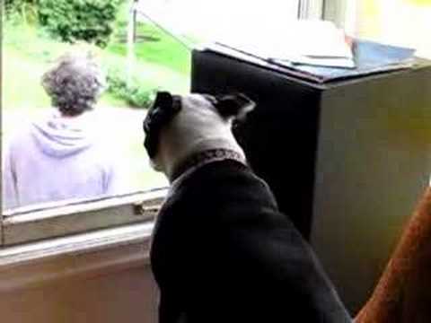 allie crying when jeremy is outside the window - YouTube