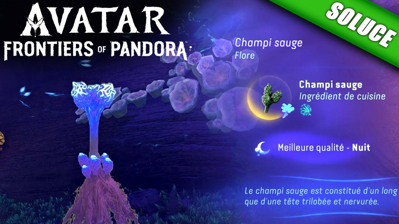 Où trouver un Champi sauge de Qualité SUBLIME - Avatar Frontiers of ...
