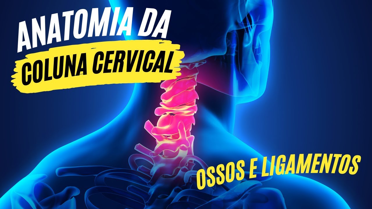 ANATOMIA COLUNA CERVICAL - OSSOS E LIGAMENTOS - OPA - ORTOPEDIA PARA ...
