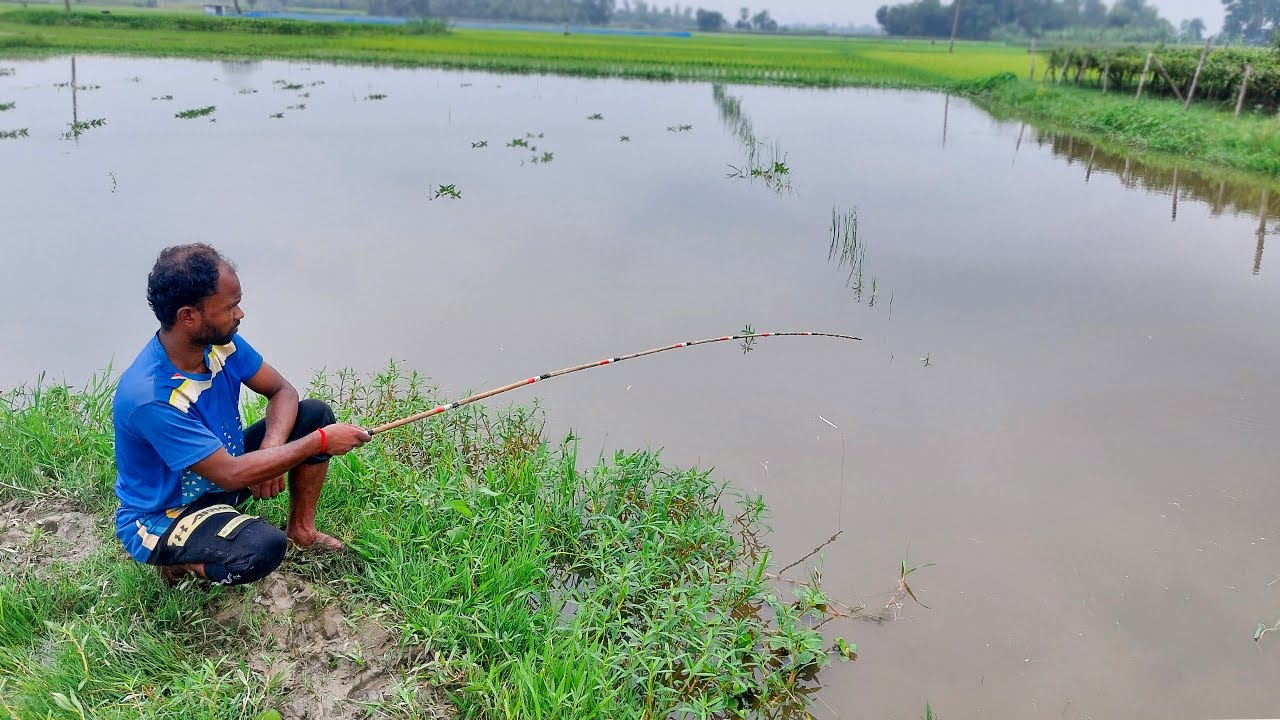 Village Traditional Boy Hunting Catching Fish By Rod ~ Traditional Hook ...