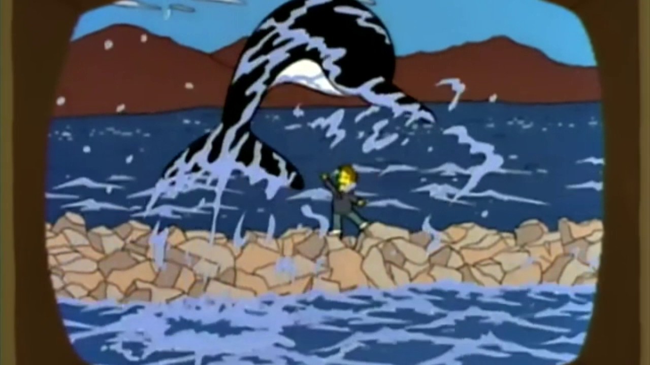 Make Way for Free Willie - YouTube