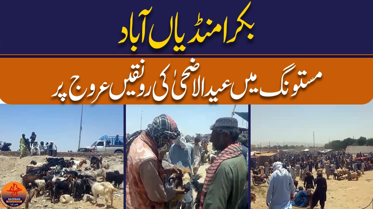 Markets Thrive in Mastung as Eid Festivities Reach Their Peak ...
